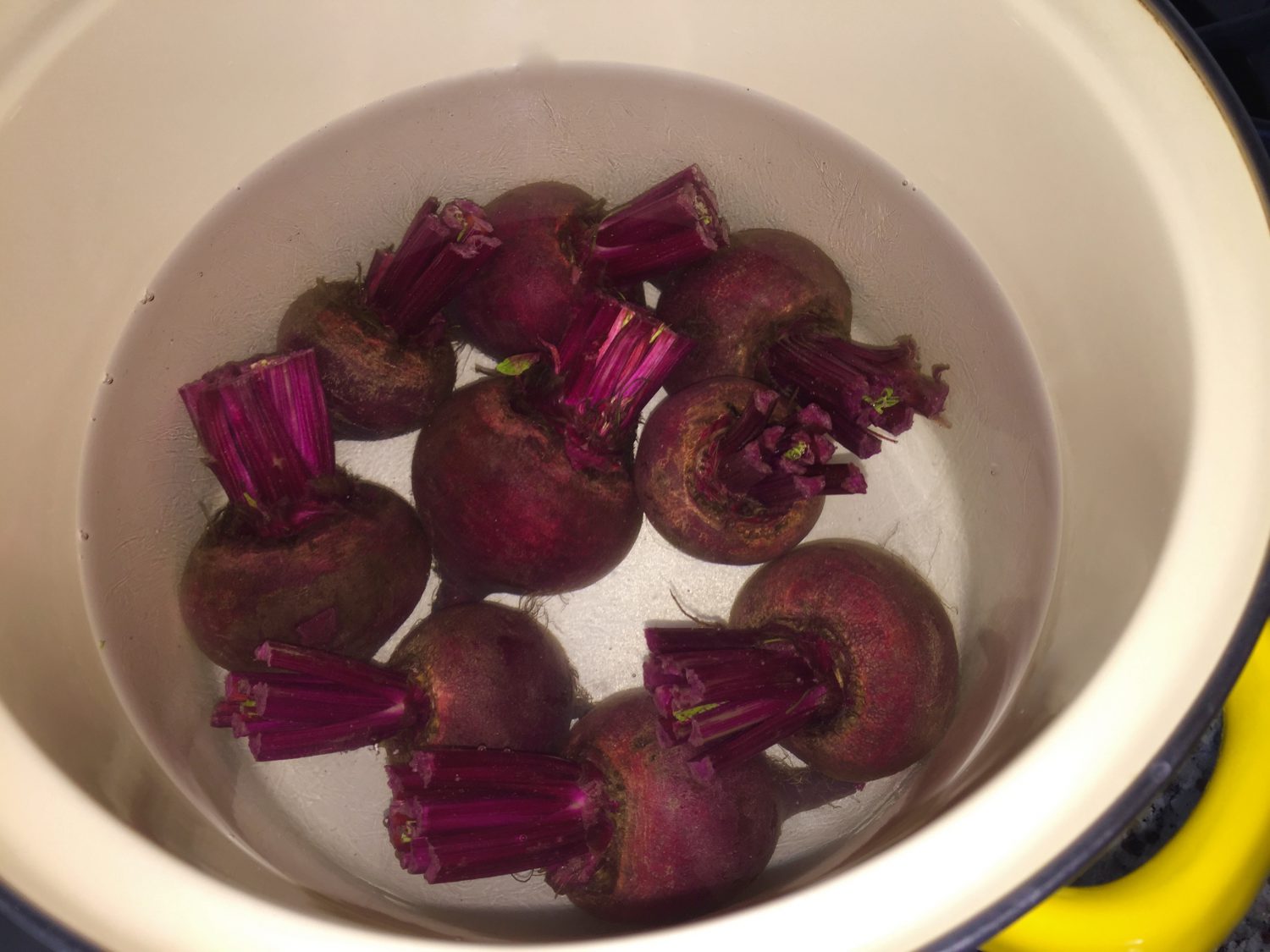 Red Beet Salad Recipe | German Side Dish | Red Beets Power Root